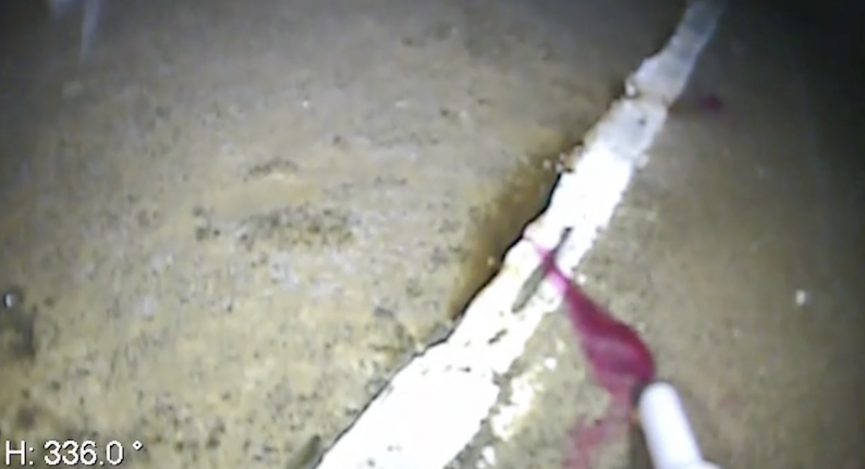 Beet It to the Leaks: Introducing Our Beetroot-Based Dye for Effective ...